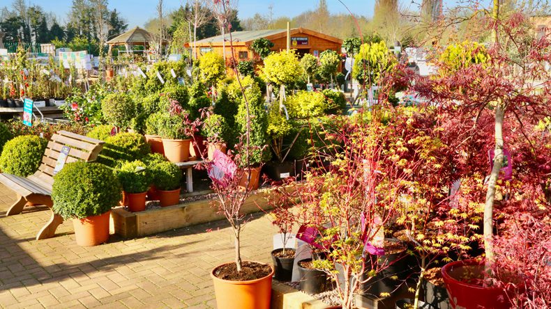 Squire's Shepperton | Free Parking | Squire's Garden Centres